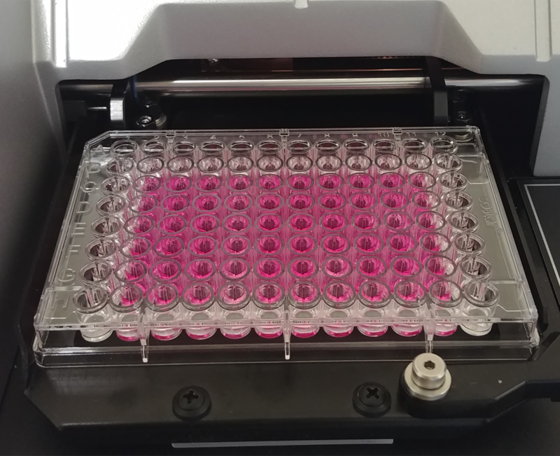 ¿Qué es la citotoxicidad? - Alchimia srl